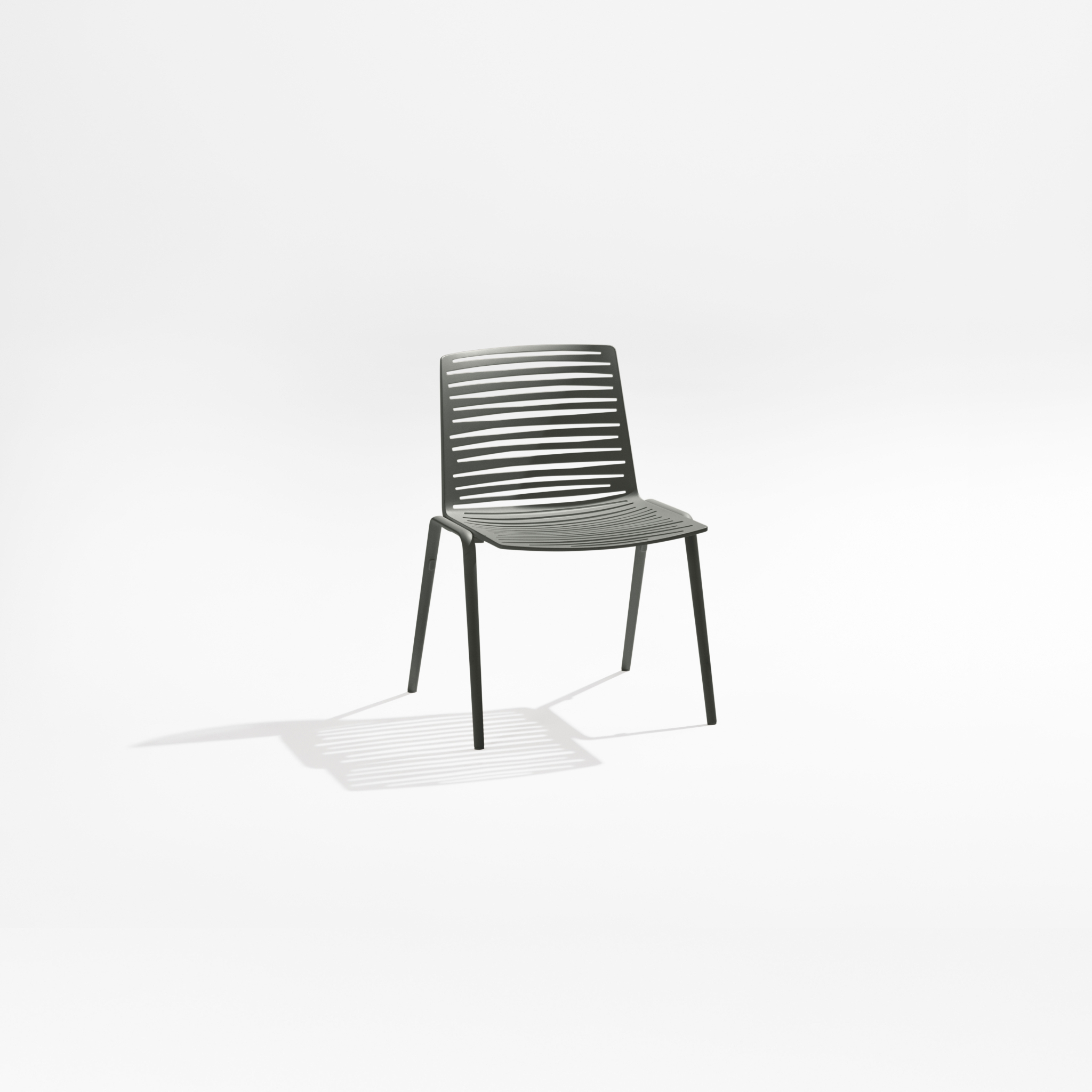 Zebra sedia - Fast Spa